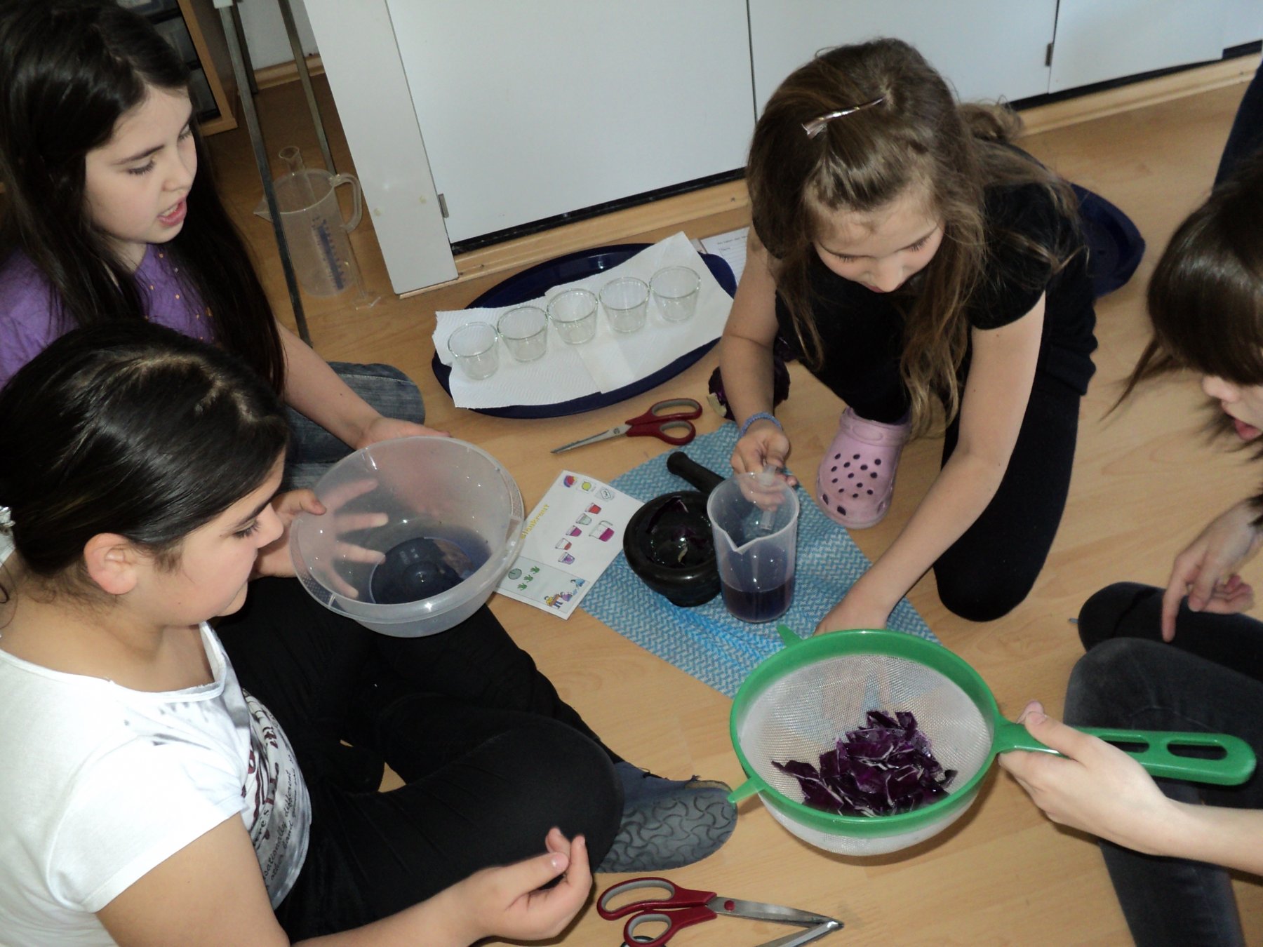 » Forscher/innenwerkstatt